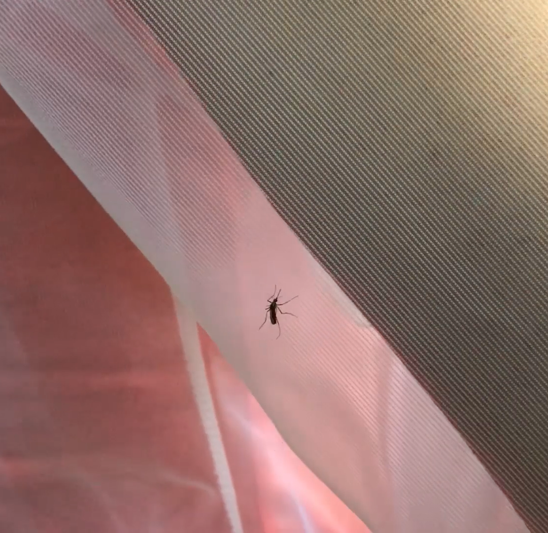 ShrugBug Mosquito Net Jacket | Bug Repellent Jacket | Insecticide-Free ...